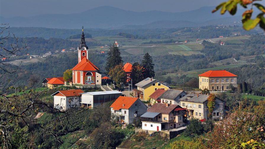 Tradicionalna izložba vina "Vivodina 2018." (22.-24. lipnja)
